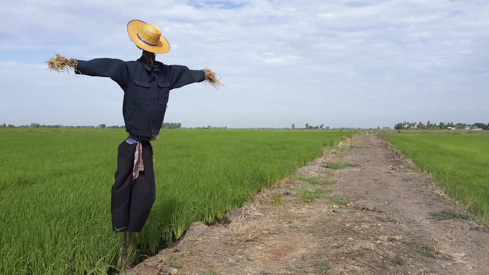 Was ist das Strohmann-Argument? - Gedankenwelt