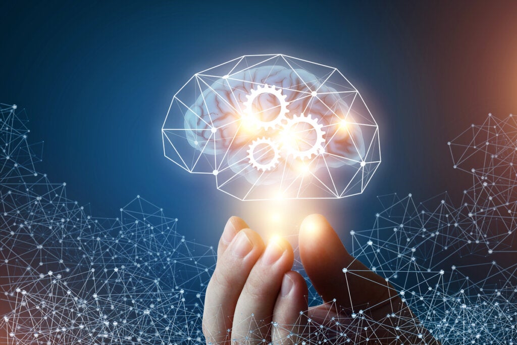 Fluide und kristalline Intelligenz: 4 Unterschiede - Gedankenwelt