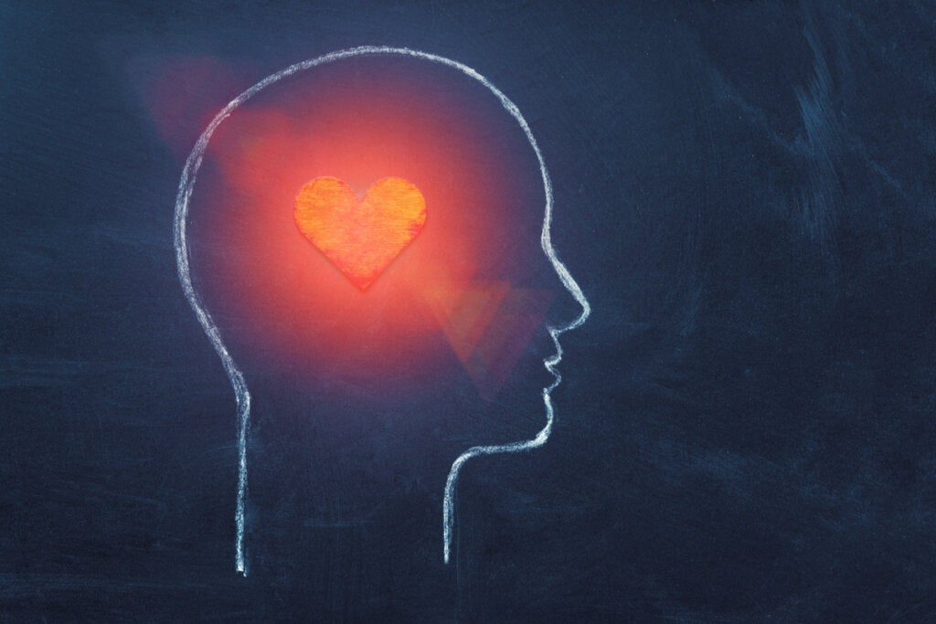 Das Rad der Emotionen von Robert Plutchik - Gedankenwelt